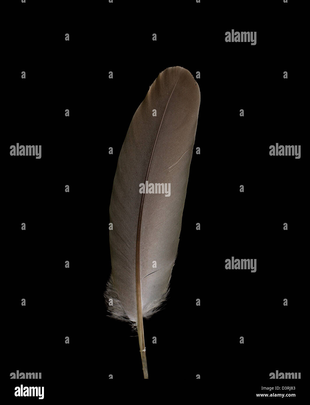 Lightweight Objects High Resolution Stock Photography and Images - Alamy