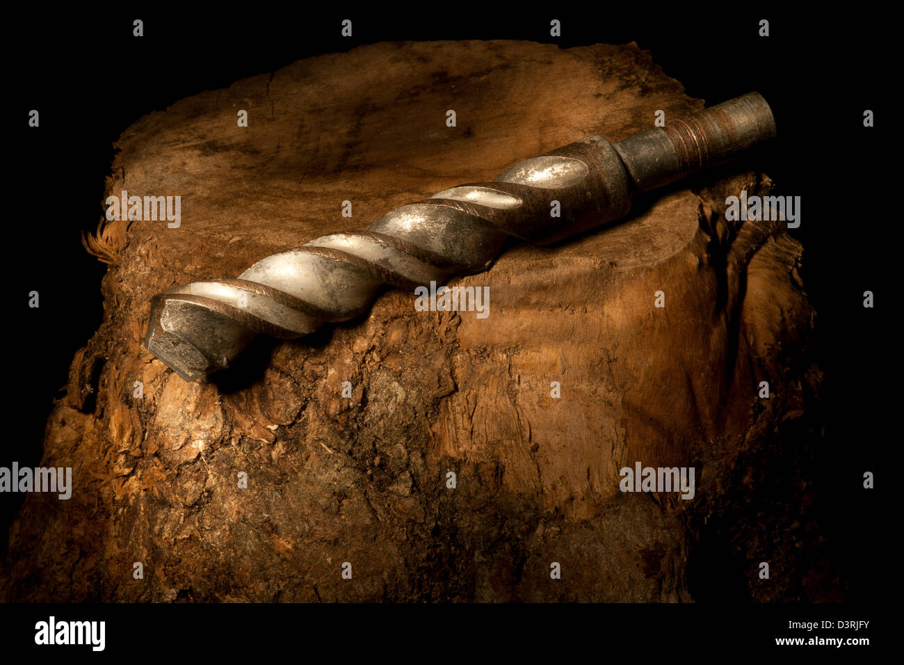 Tree trunk drill hi-res stock photography and images - Alamy