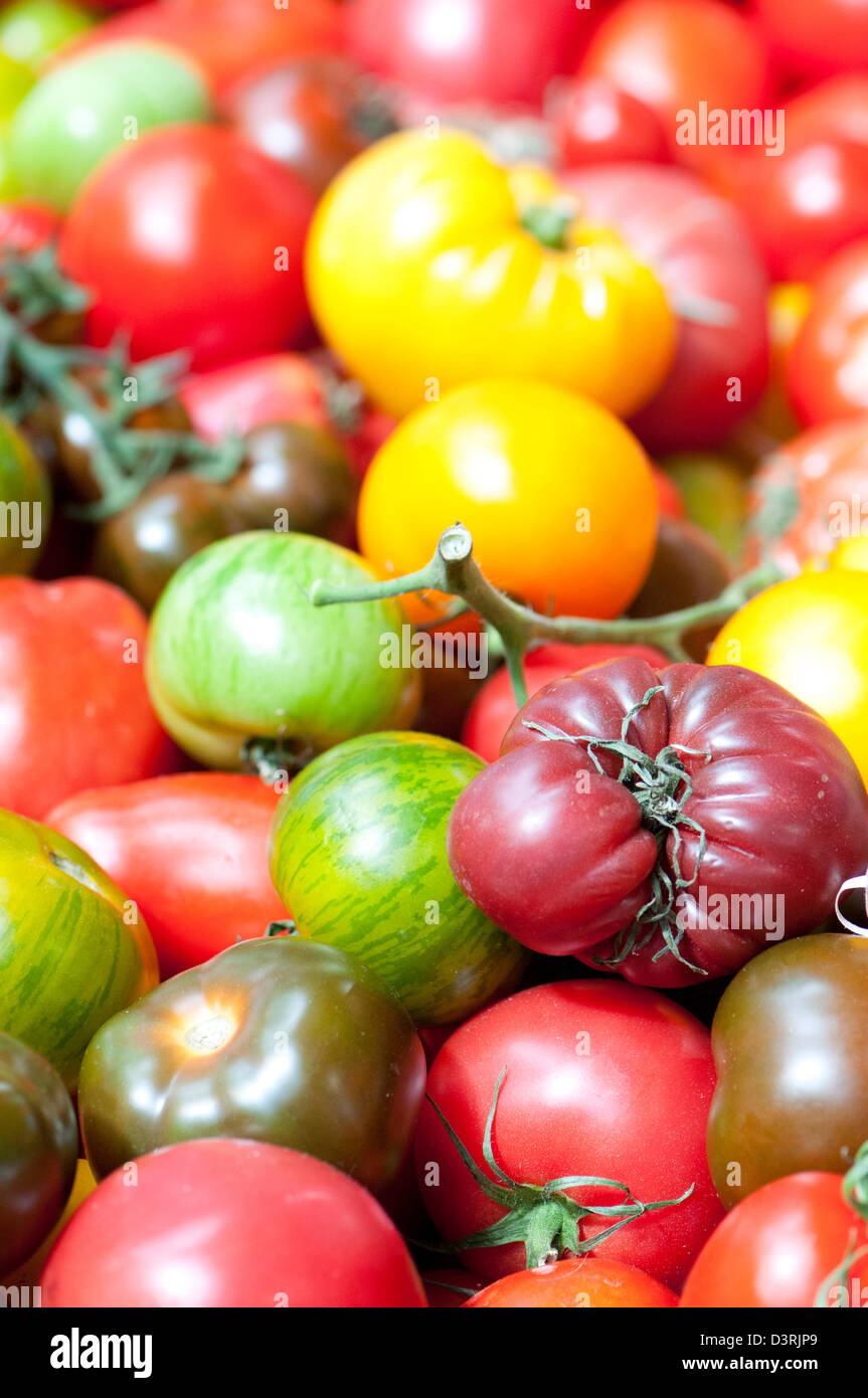 Different coloured tomatoes hi-res stock photography and images - Alamy