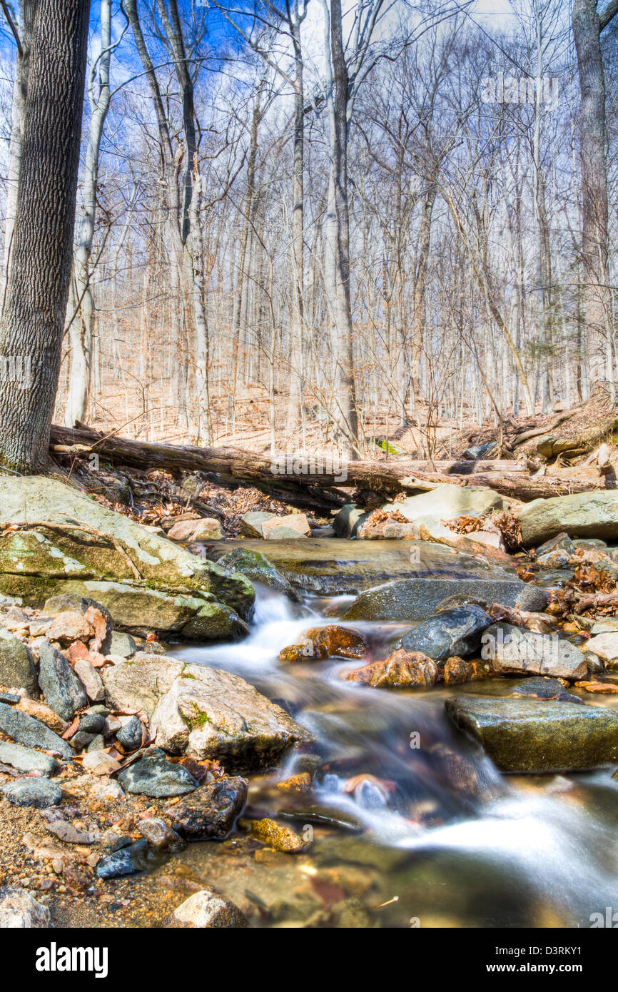 Patapsco State Park Stock Photo - Alamy