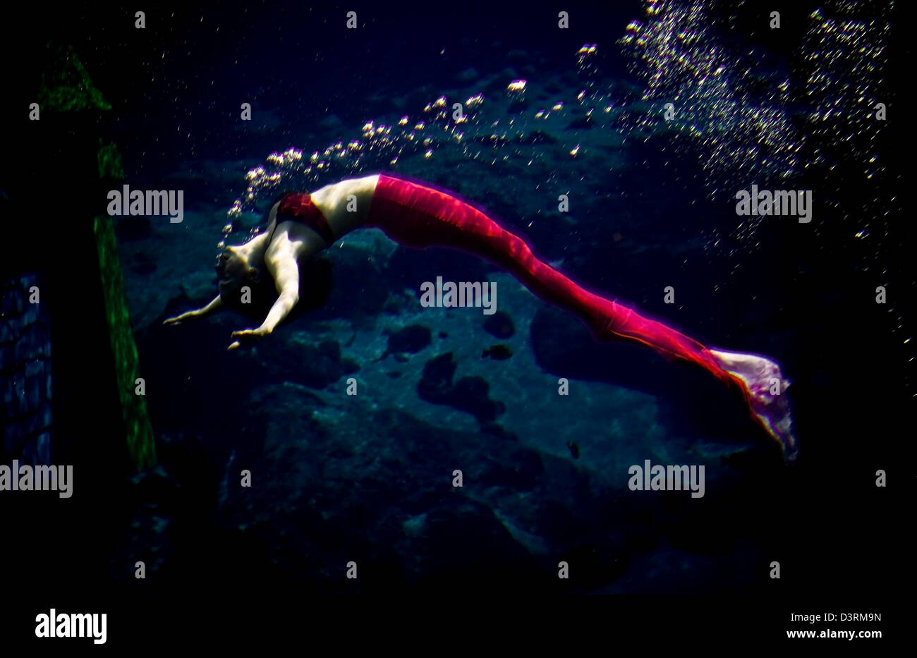Weeki wachee mermaid hi-res stock photography and images - Alamy