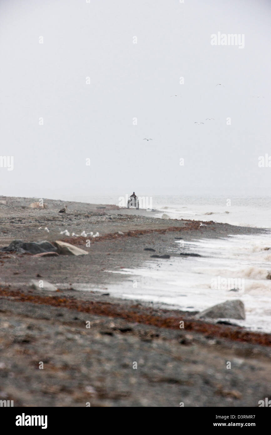 Four wheelers drive along the beach at Deep Creek State Recreation Area ...