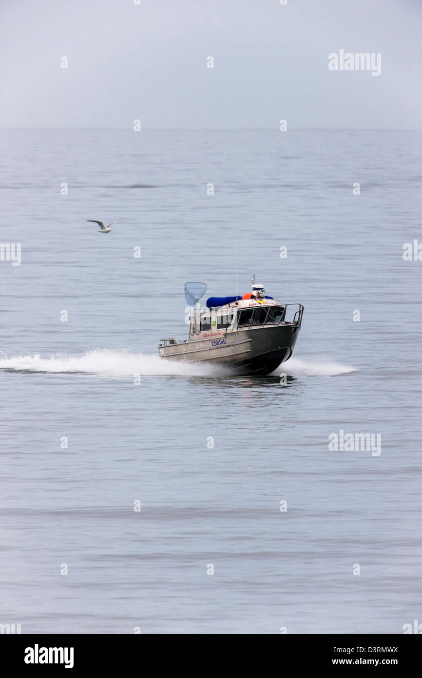 Fishing boat on Cook Inlet near Deep Creek State Recreation Area ...