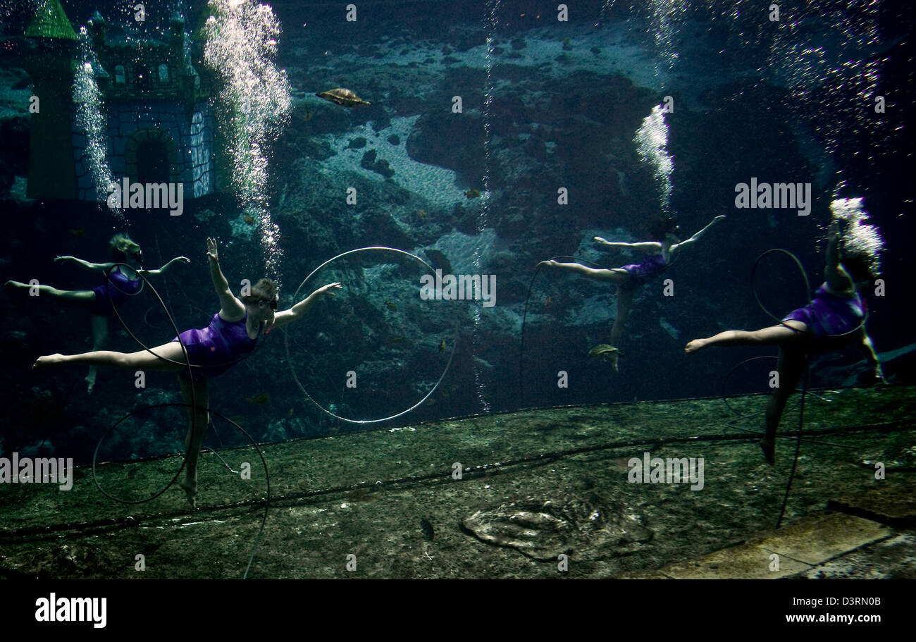 Spring Hill, Florida, US. 23rd Feb, 2013. Former mermaids return to ...