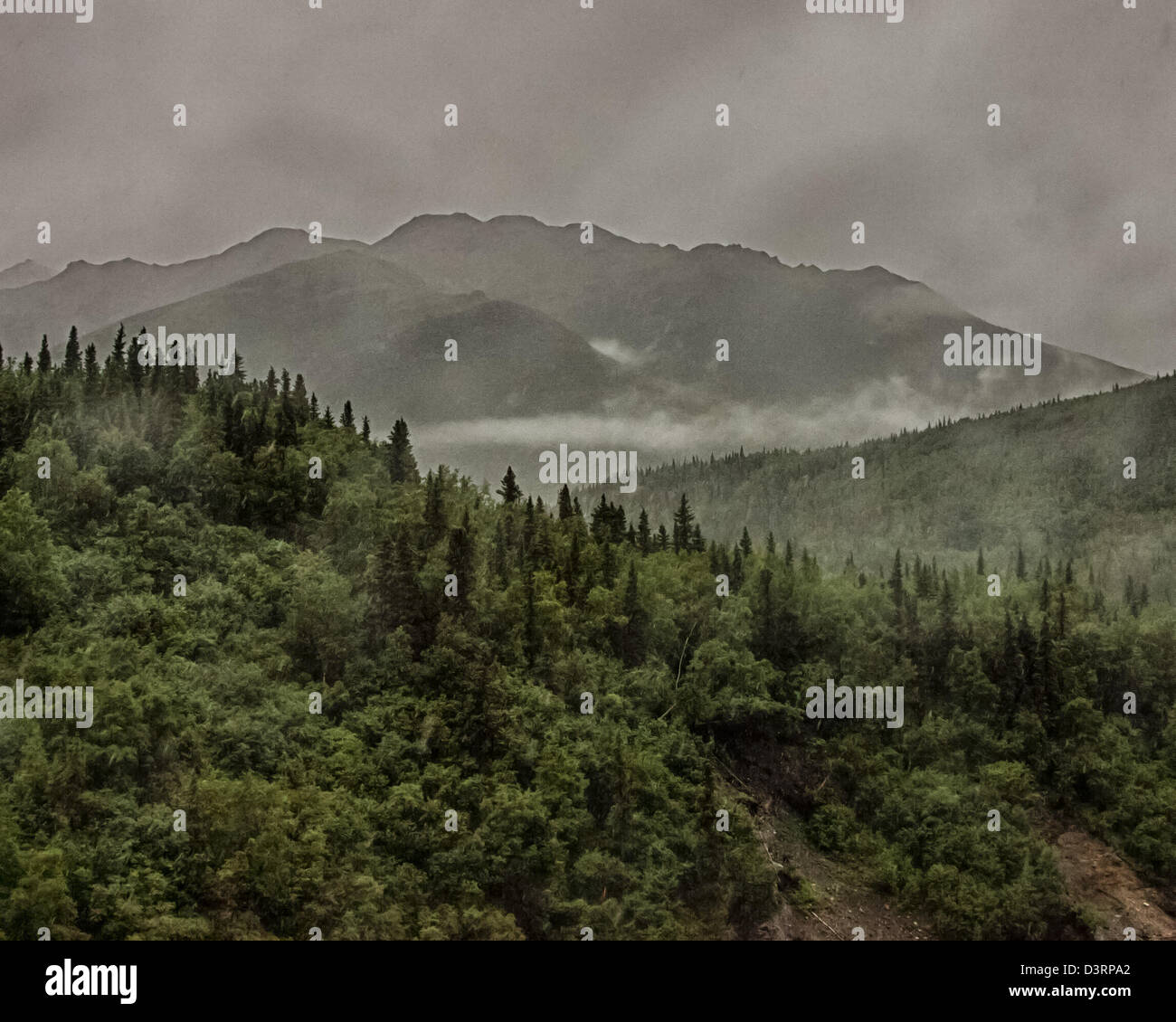 Healy 100 hi-res stock photography and images - Alamy