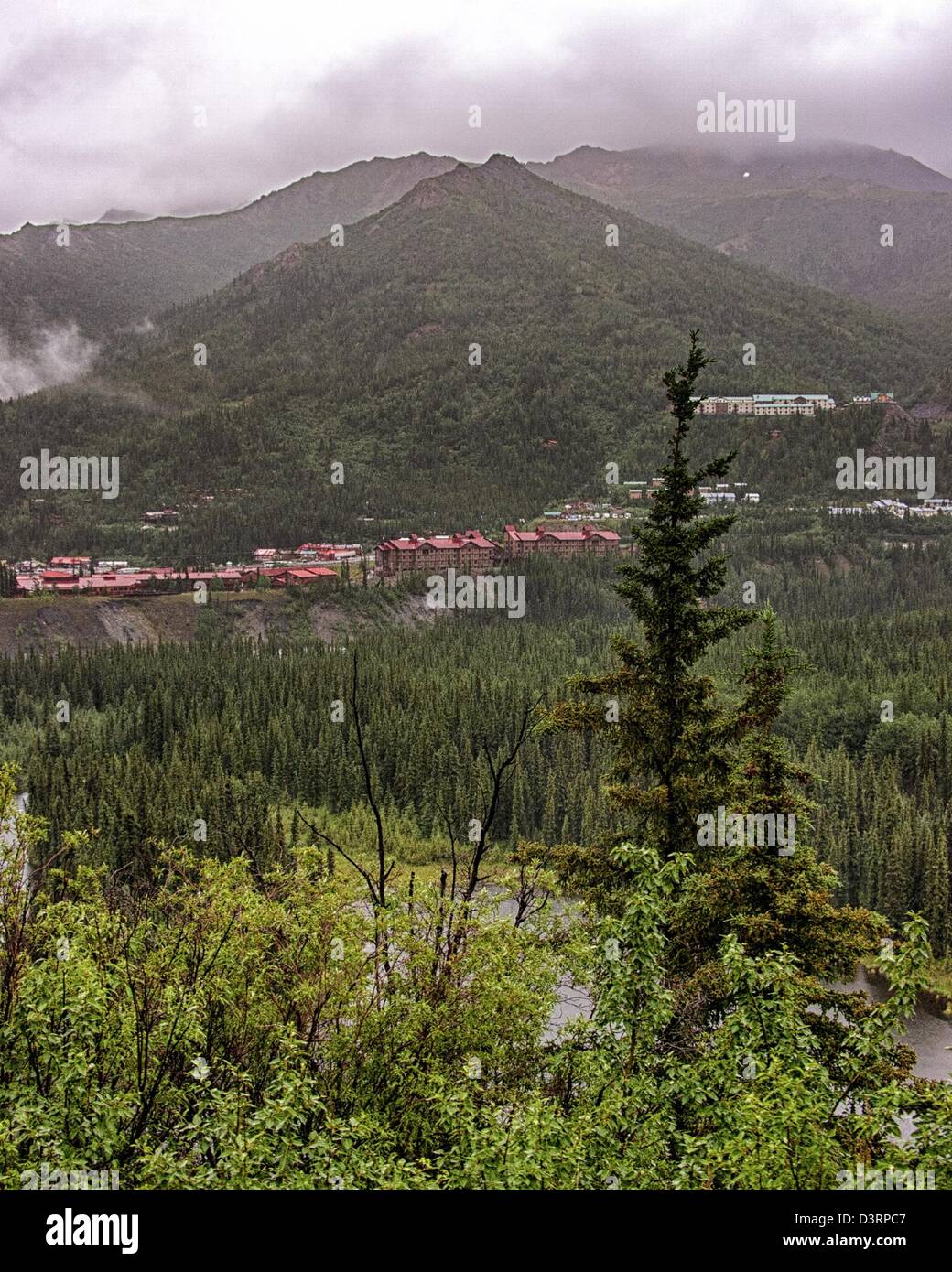 Denali park village hi-res stock photography and images - Alamy