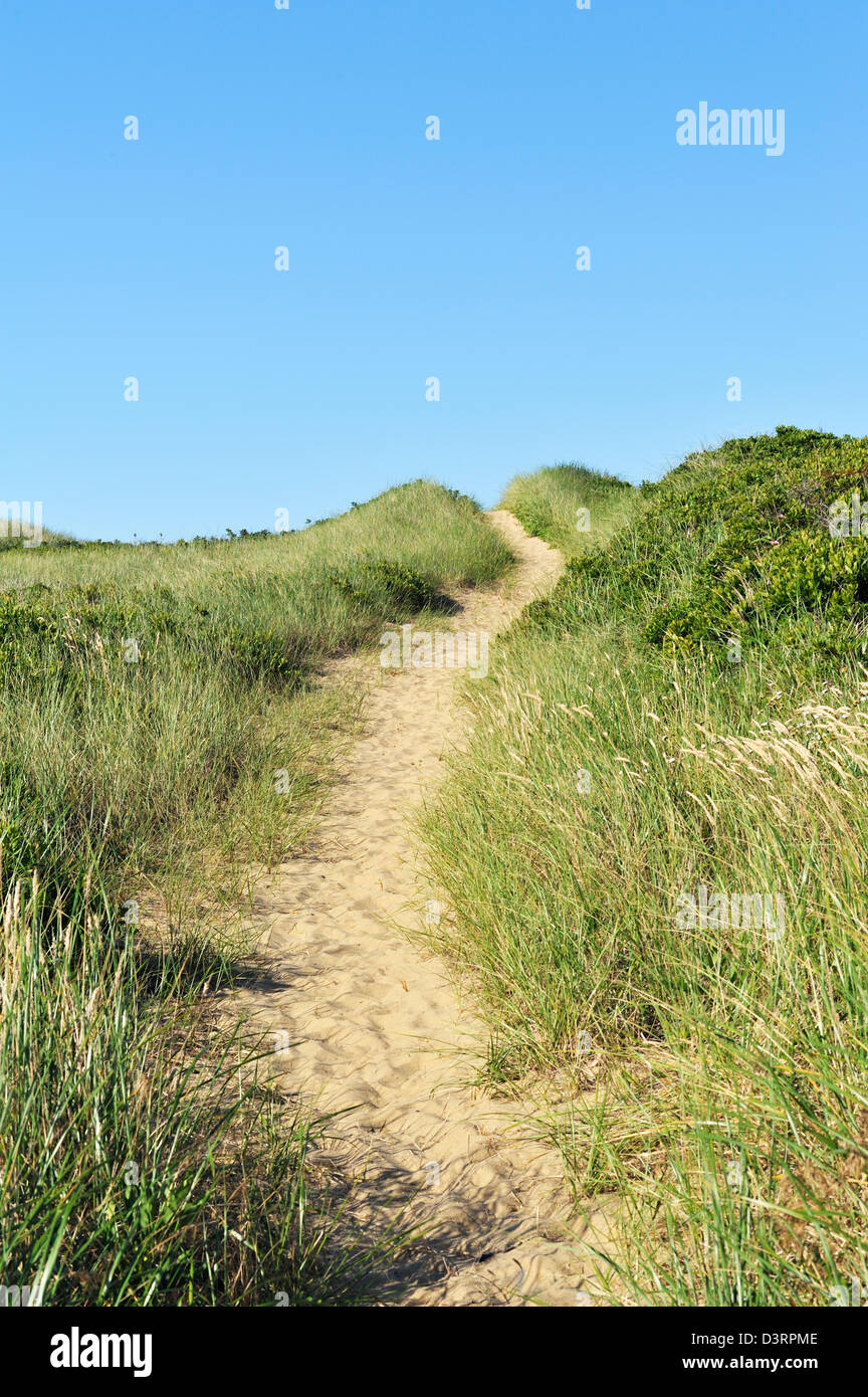 Sandy path leading to the Jetties Beach, Nantucket, MA Stock Photo - Alamy
