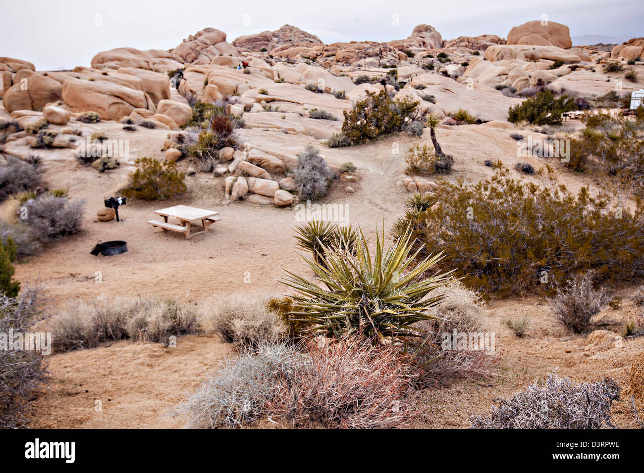 Jumbo Rocks camp ground in Joshua Tree National Park, California Stock ...