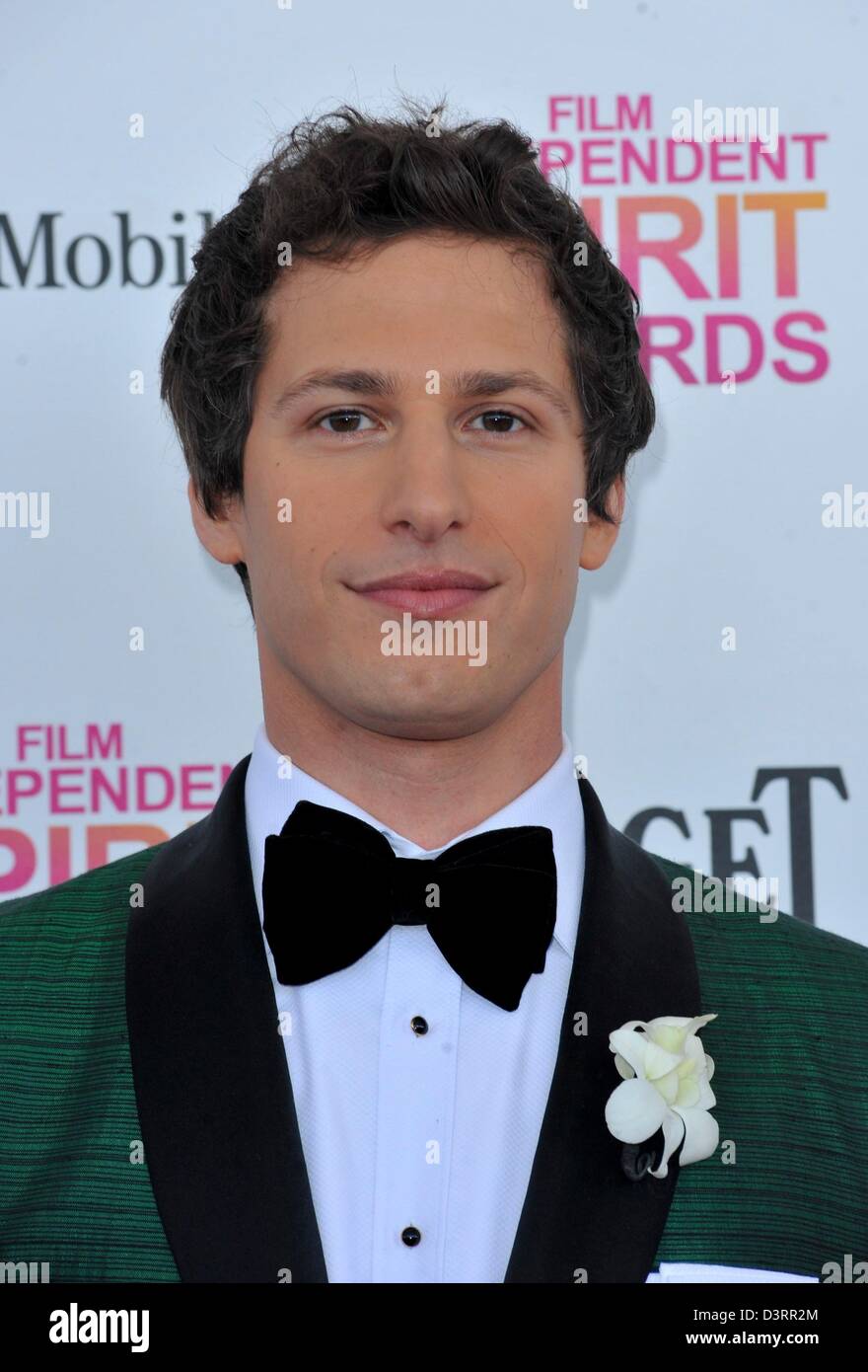 Santa Monica, California, USA 23rd Feb, 2013. Andy Samberg at arrivals ...
