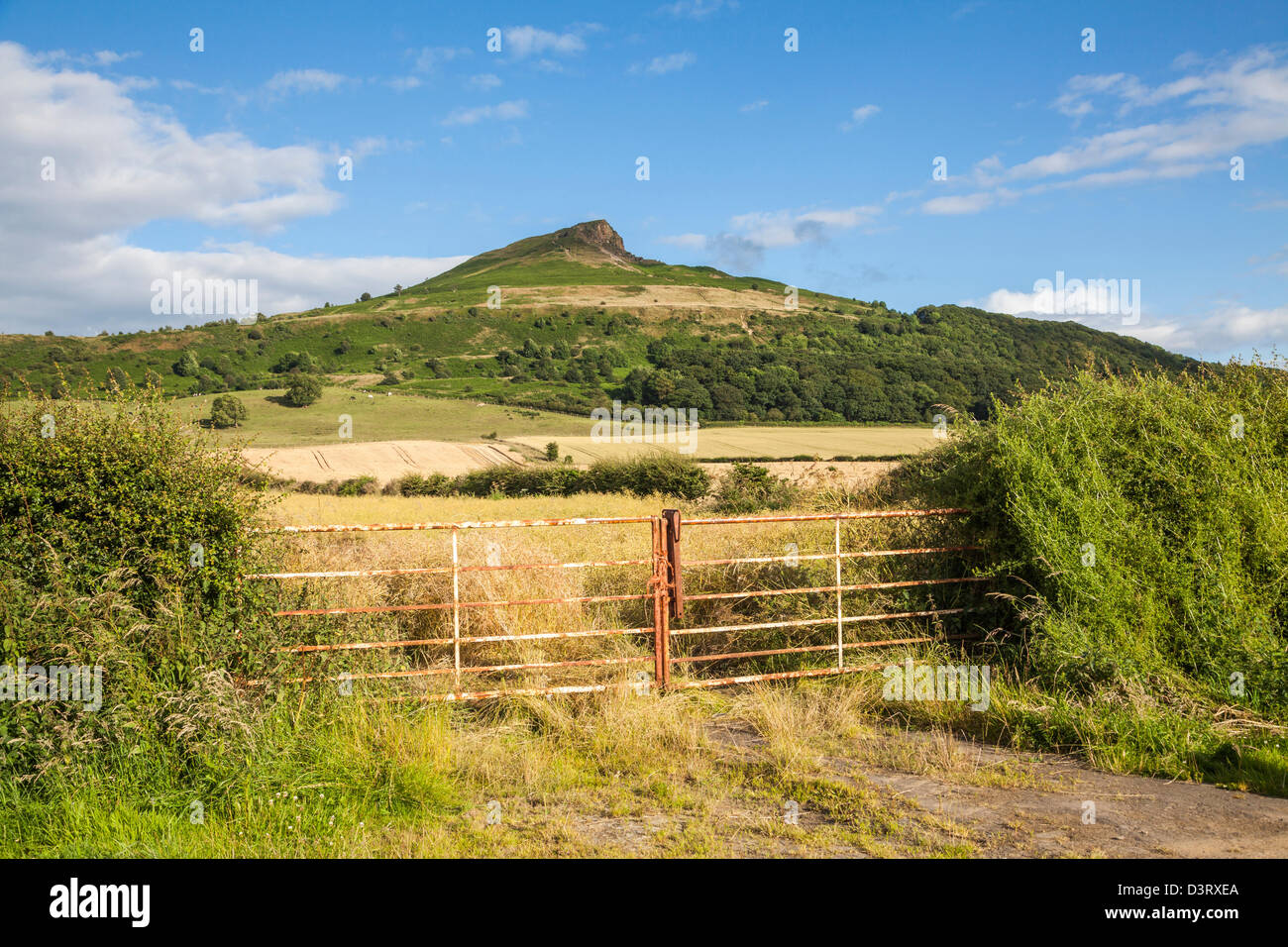 Roseberry Topping, North Yorkshire Stock Photo - Alamy