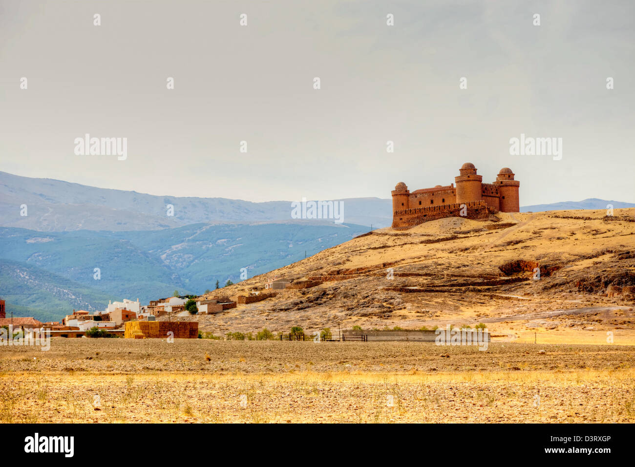 Alamy stock images horses hi-res stock photography and images - Alamy