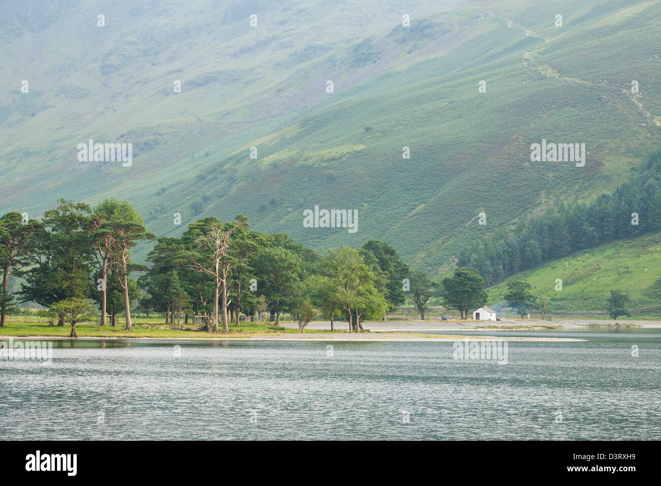 Buttermere trees hi-res stock photography and images - Alamy
