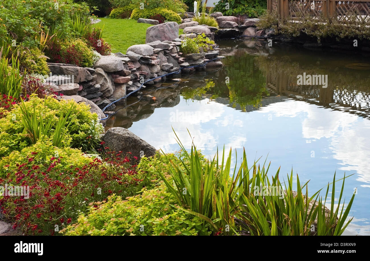 Beautiful pond with exotic fish Stock Photo - Alamy