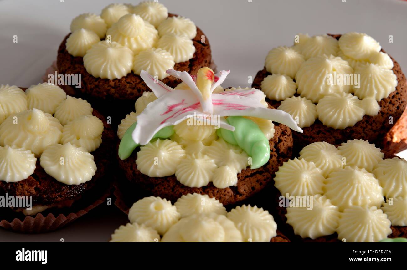 Capecakes hi-res stock photography and images - Alamy