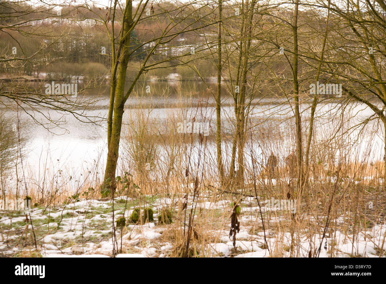 jumbles country park near bolton,lancashire,england Stock Photo - Alamy