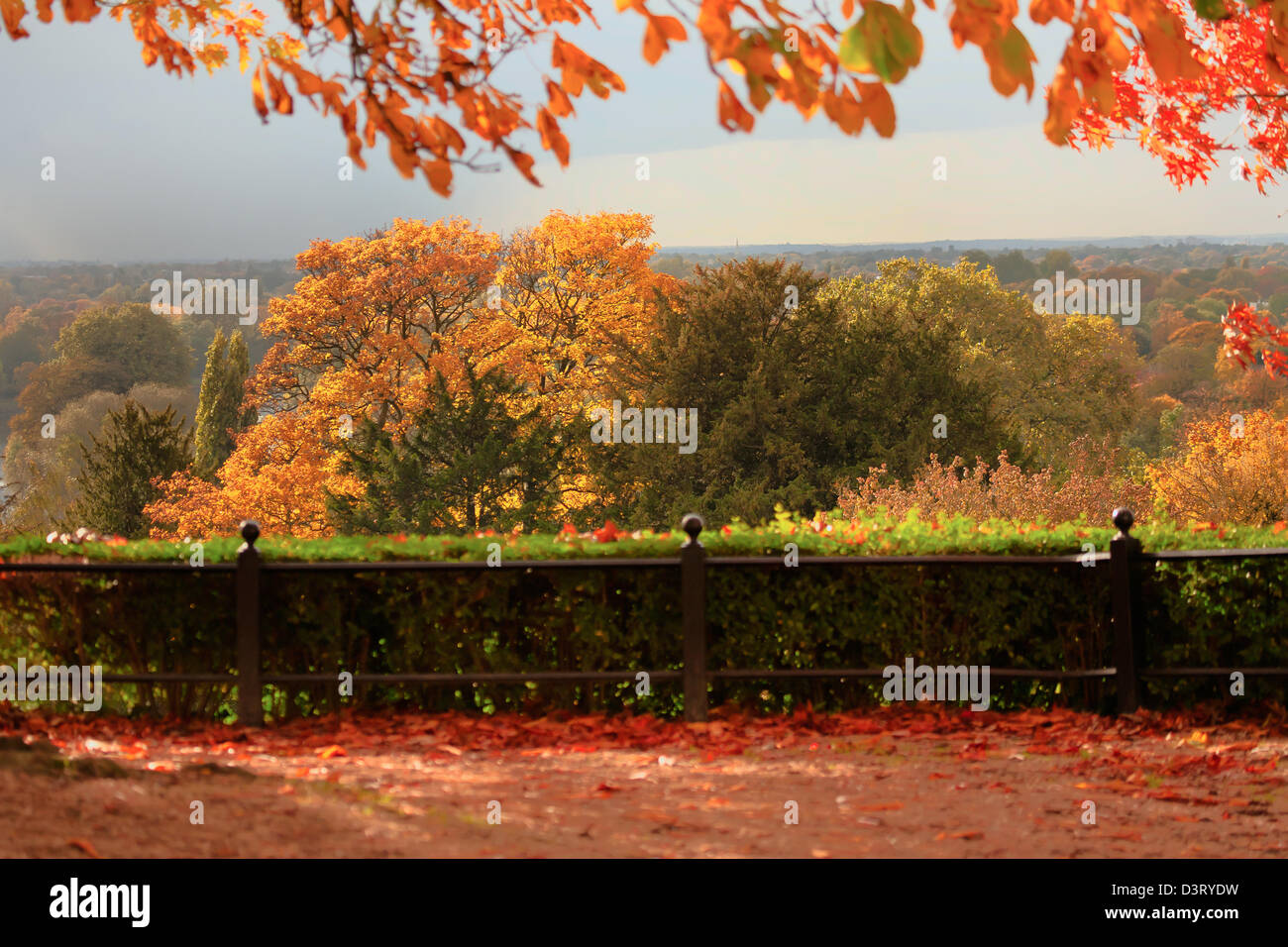 Fall clour hi-res stock photography and images - Alamy
