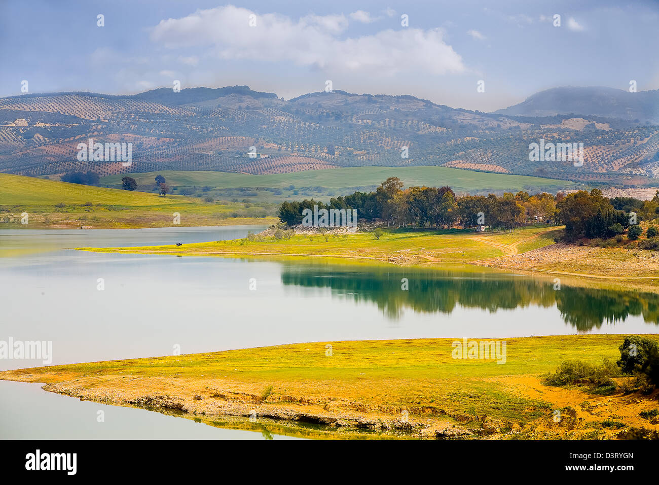 Spain the Campo Stock Photo - Alamy
