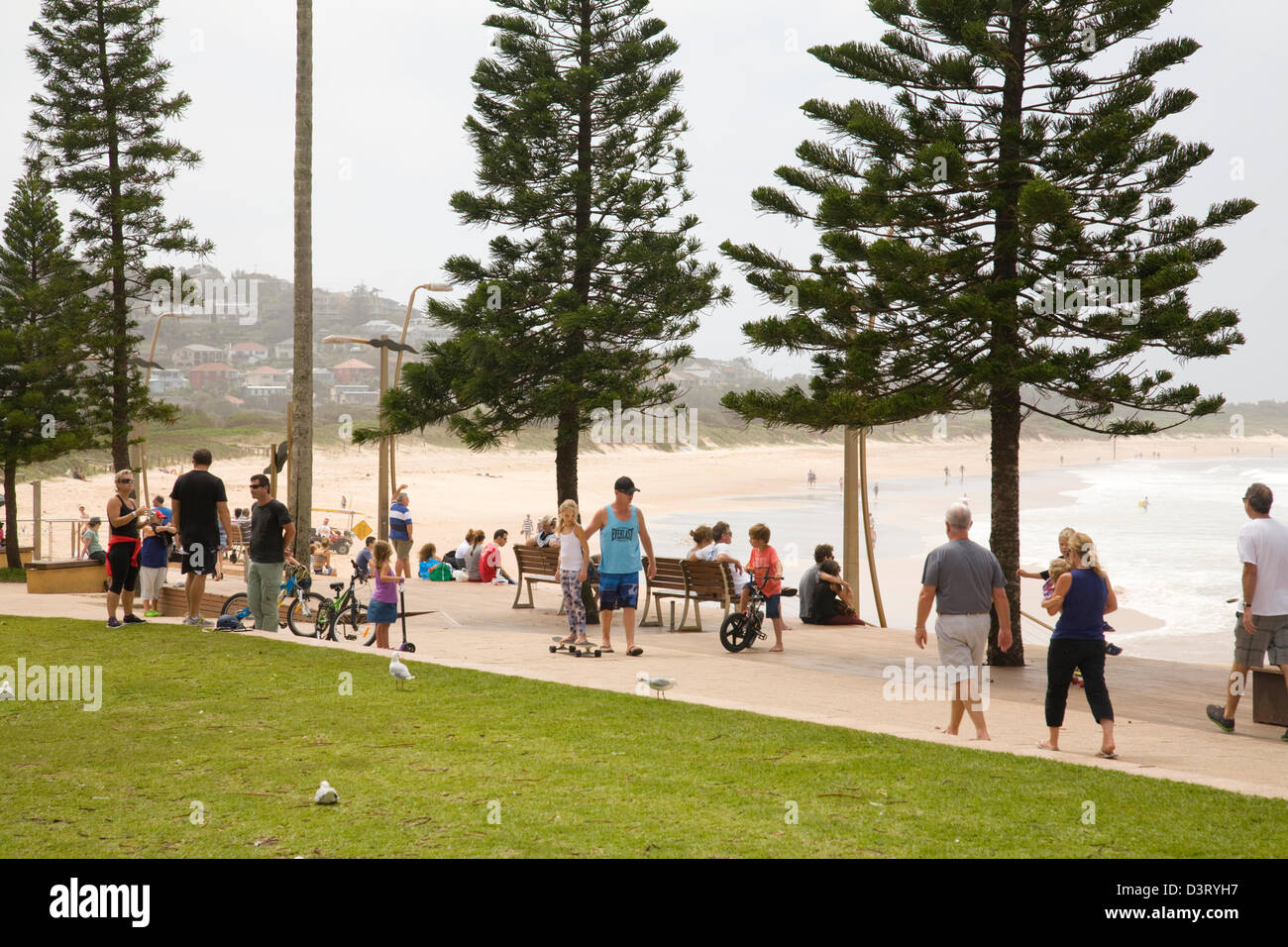 Dee why beach , one of Sydney's famous northern beaches,Sydney ...