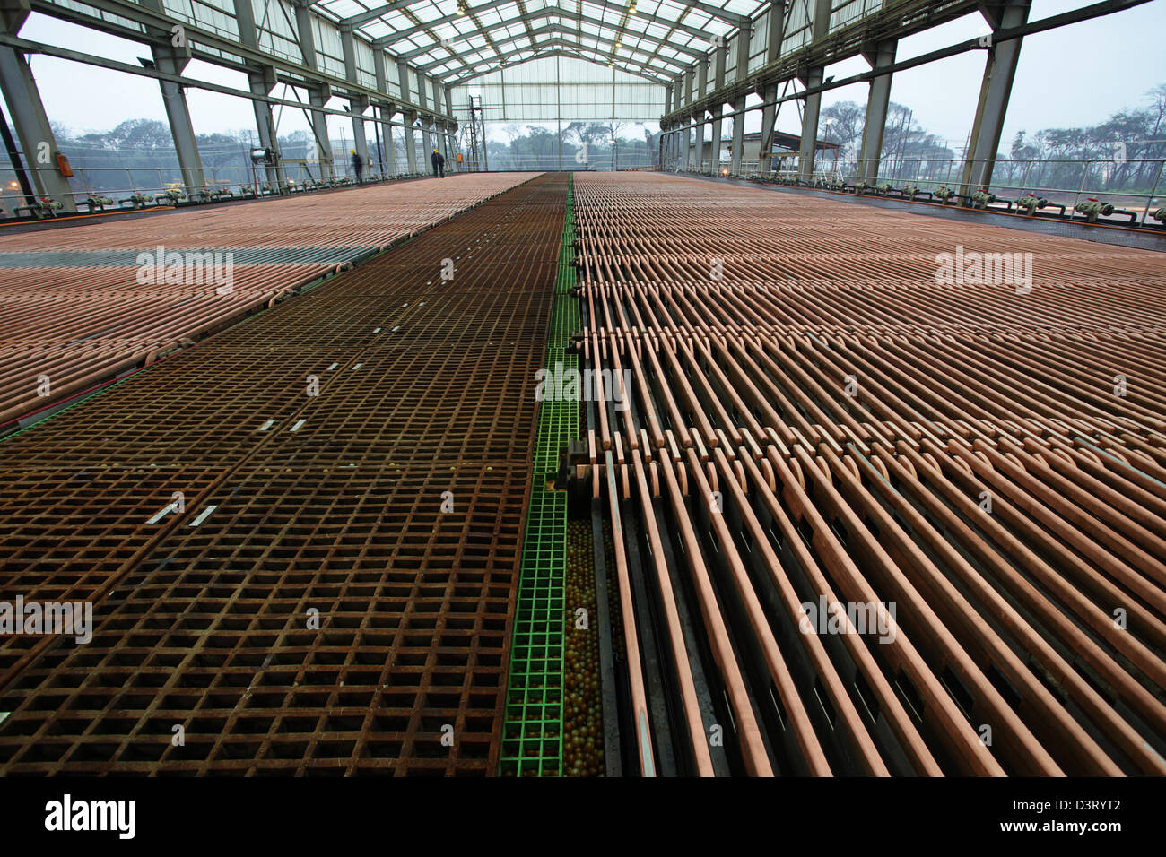 Electro winning copper by FQM First Quantum Minerals LTD Stock Photo ...