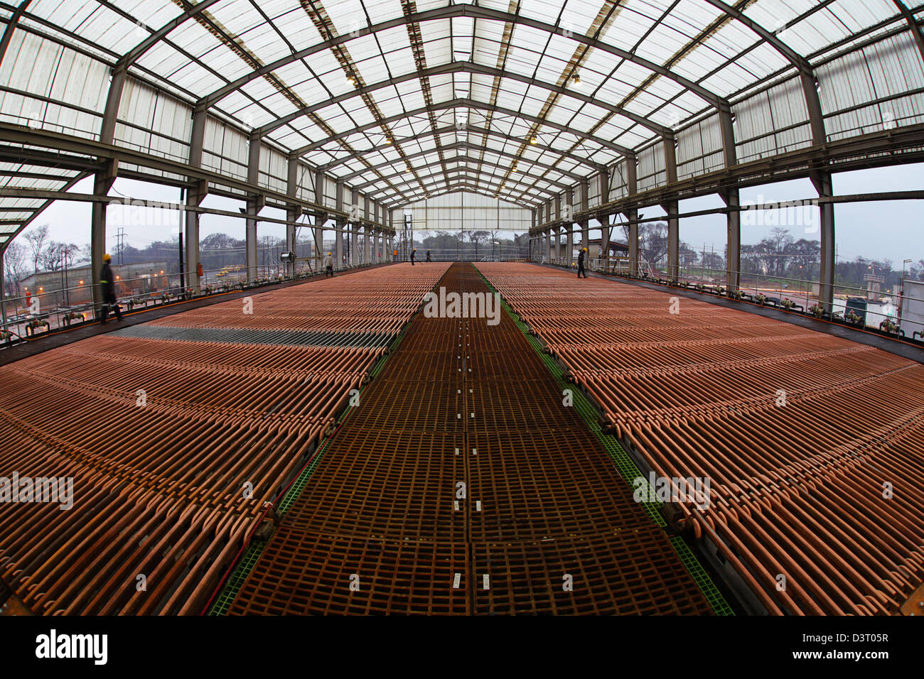 Electro winning copper by FQM First Quantum Minerals LTD Stock Photo ...