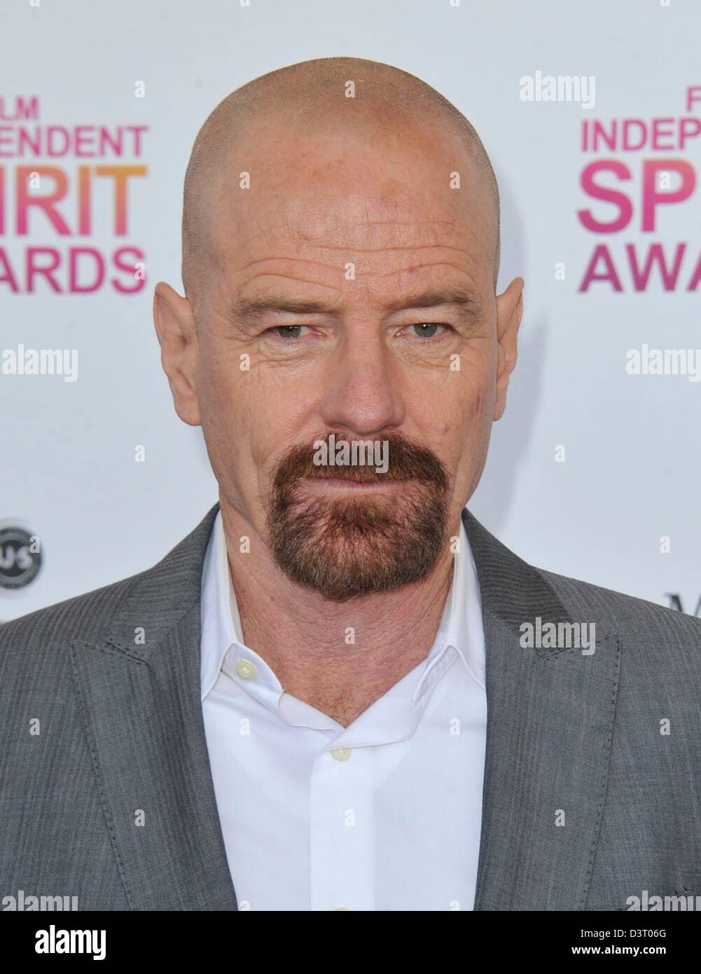 Santa Monica, California, USA 23rd Feb, 2013. Bryan Cranston at ...