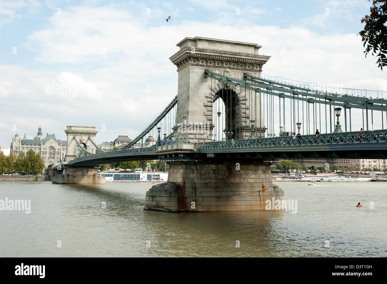 The Chain Bridge in Budapest Stock Photo - Alamy