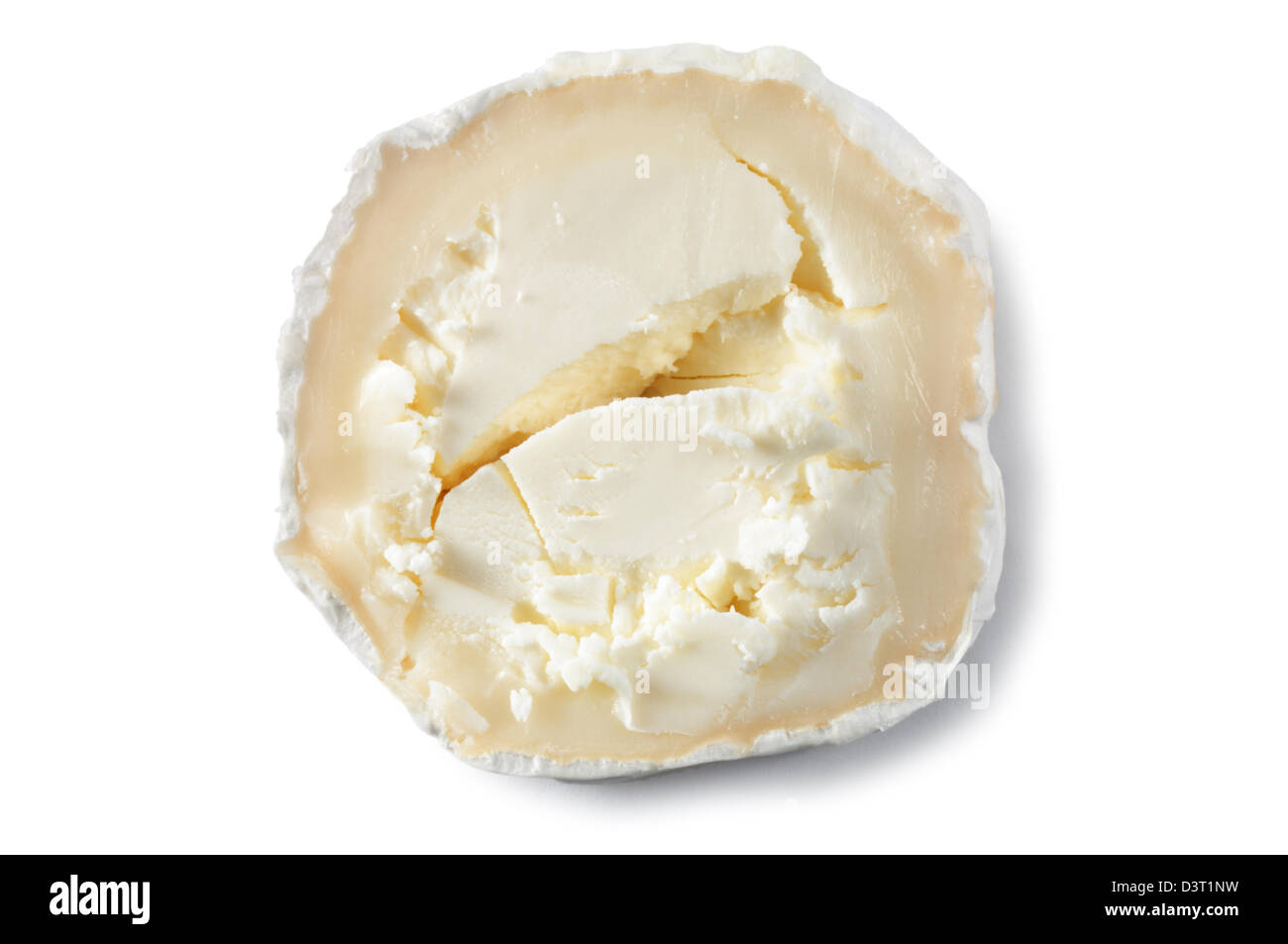 Goats Cheese - John Gollop Stock Photo - Alamy