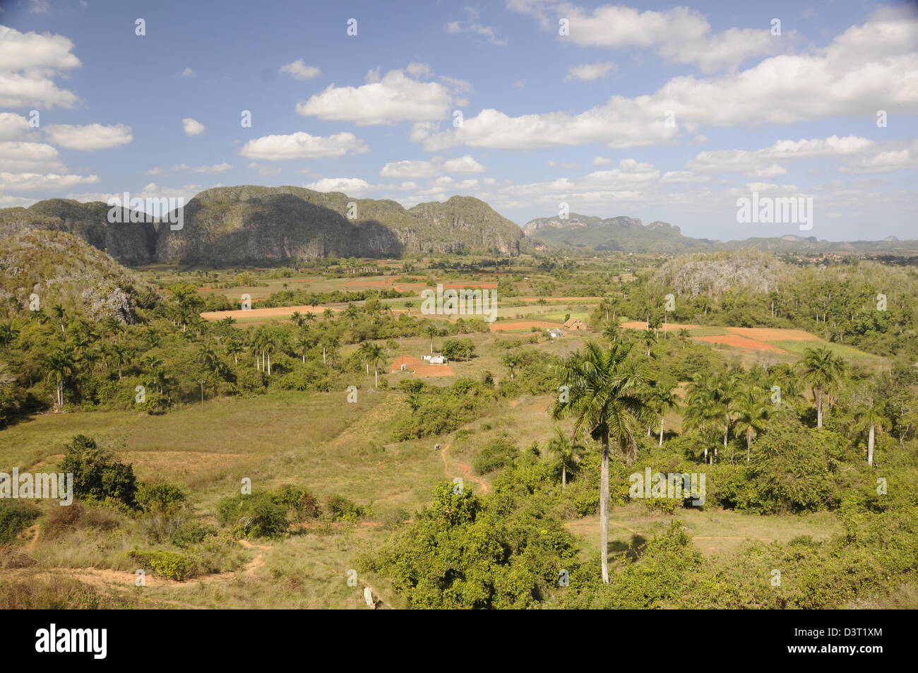 Tobacco fields cuba hi-res stock photography and images - Alamy
