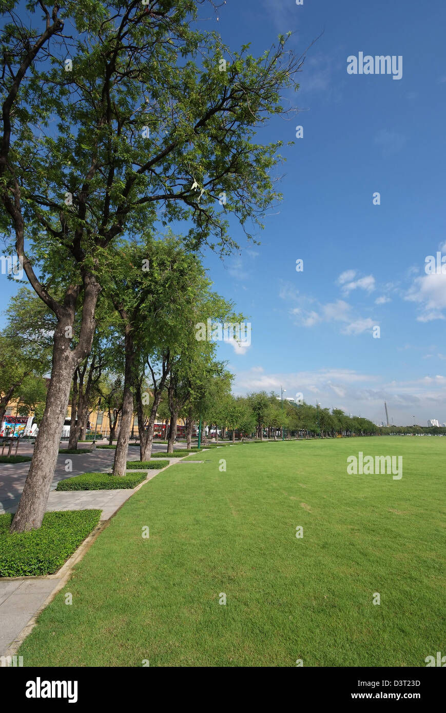 Green tree and blue sky in city park under sunny light Stock Photo - Alamy