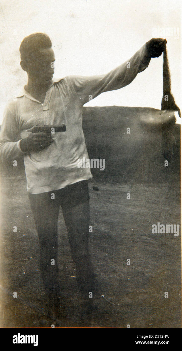 Mongoose hawaii hi-res stock photography and images - Alamy