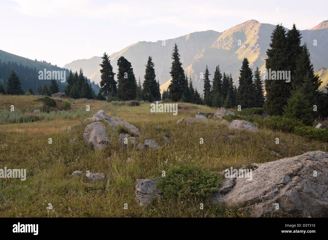 Even landscapes hi-res stock photography and images - Alamy