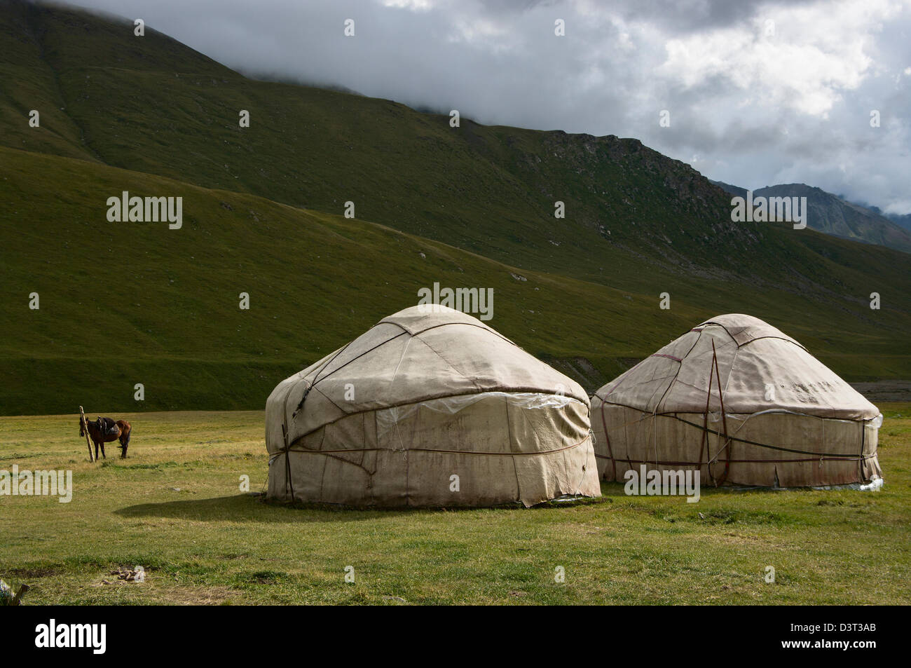 Yurt horse hi-res stock photography and images - Alamy