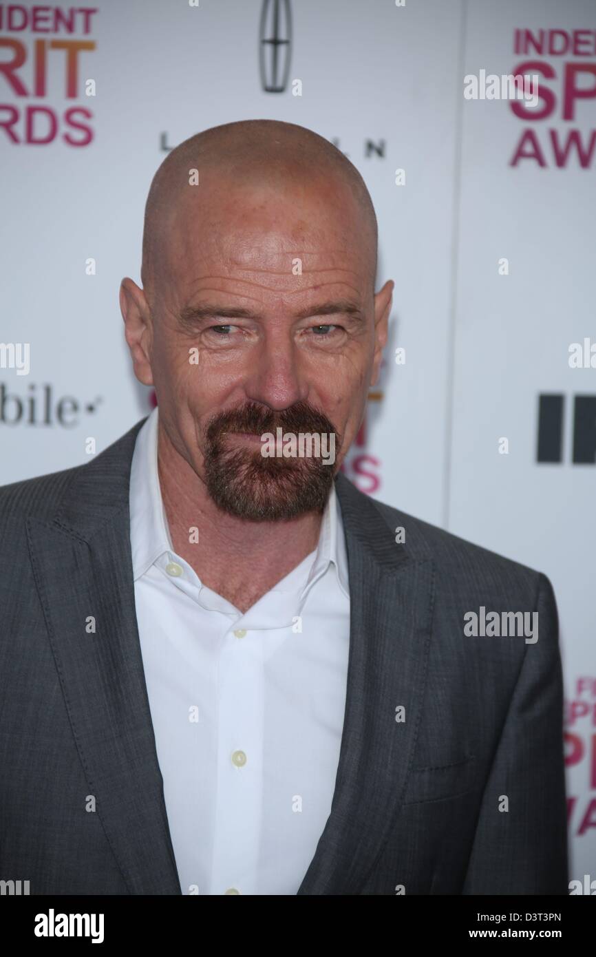 Actor Bryan Cranston arrives at the 2013 Film Independent Spirit Awards ...