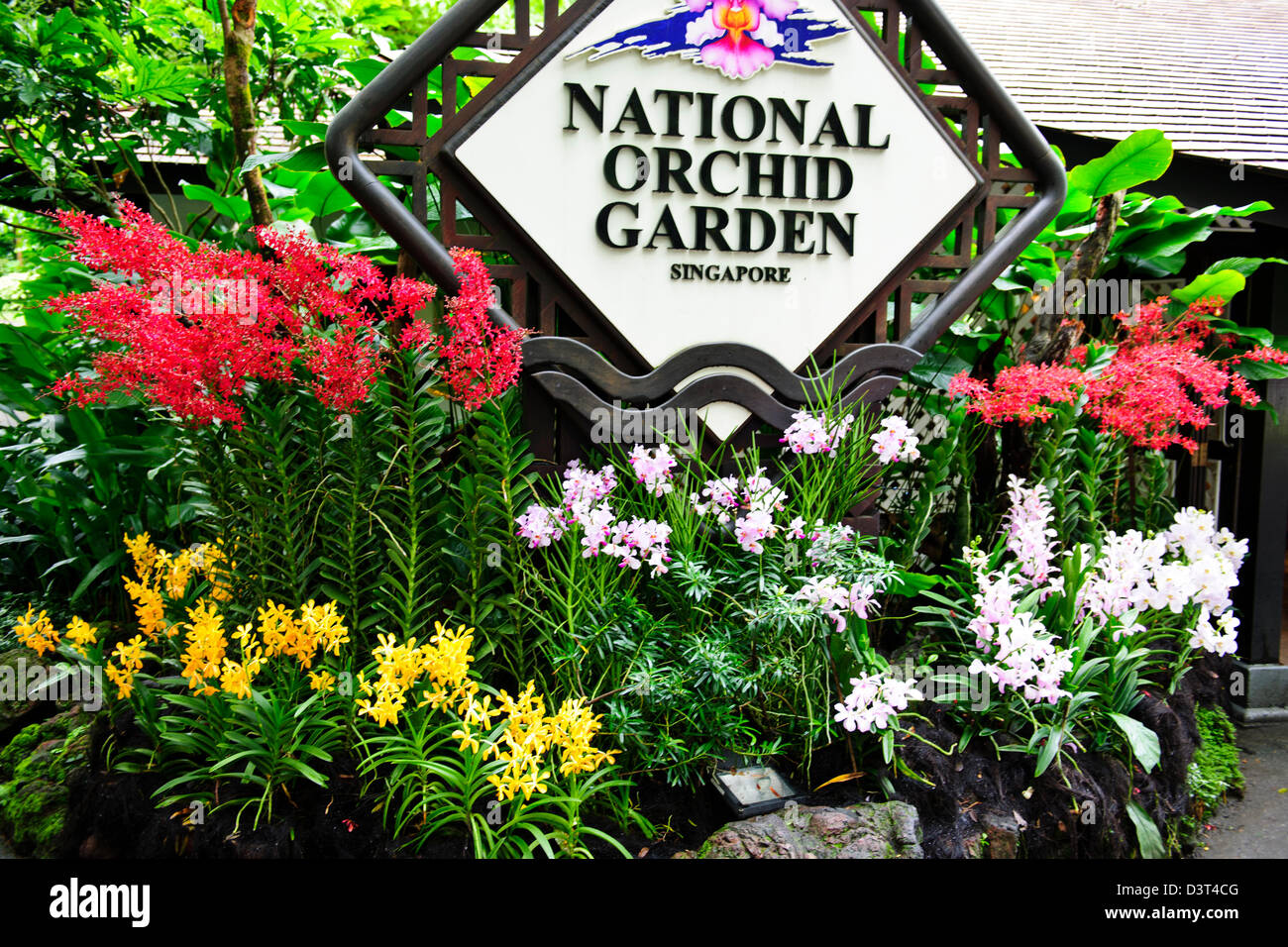 National Orchid Garden,Tan Hoon Siang Mist House,1,000 species and ...