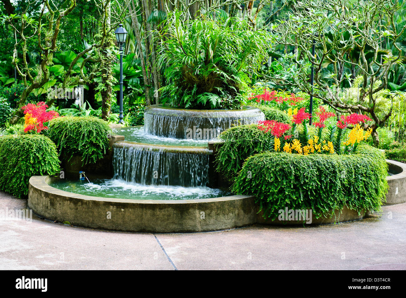 National Orchid Garden,Tan Hoon Siang Mist House,1,000 species and ...