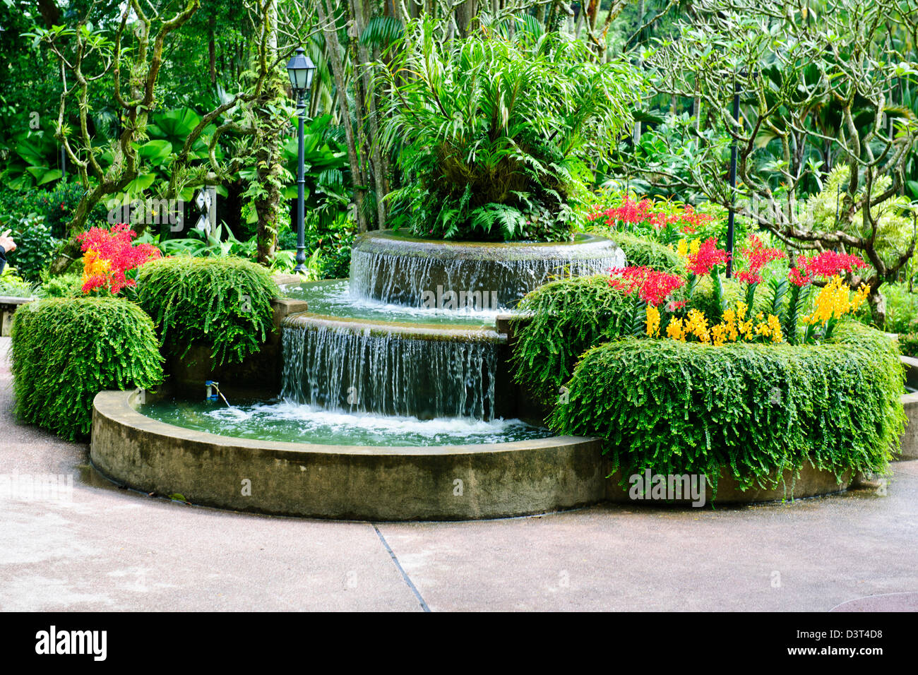Singapore botanical gardens mist garden hi-res stock photography and ...