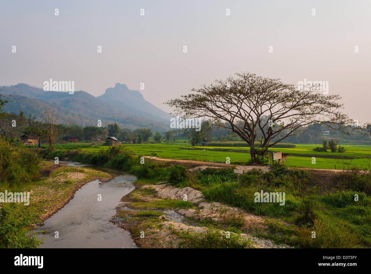 Creek scenery hi-res stock photography and images - Alamy
