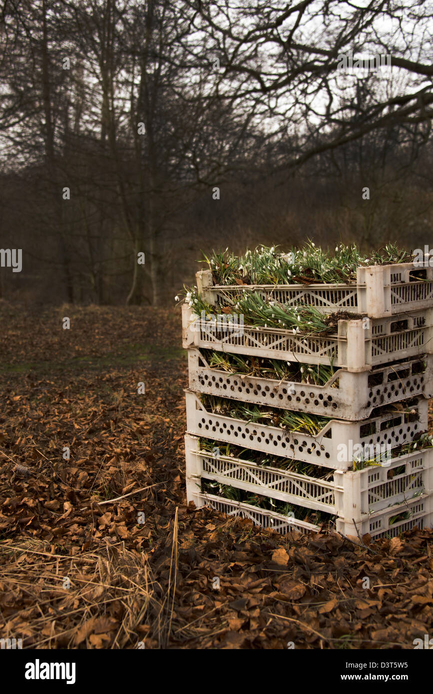Bulb crates hi-res stock photography and images - Alamy