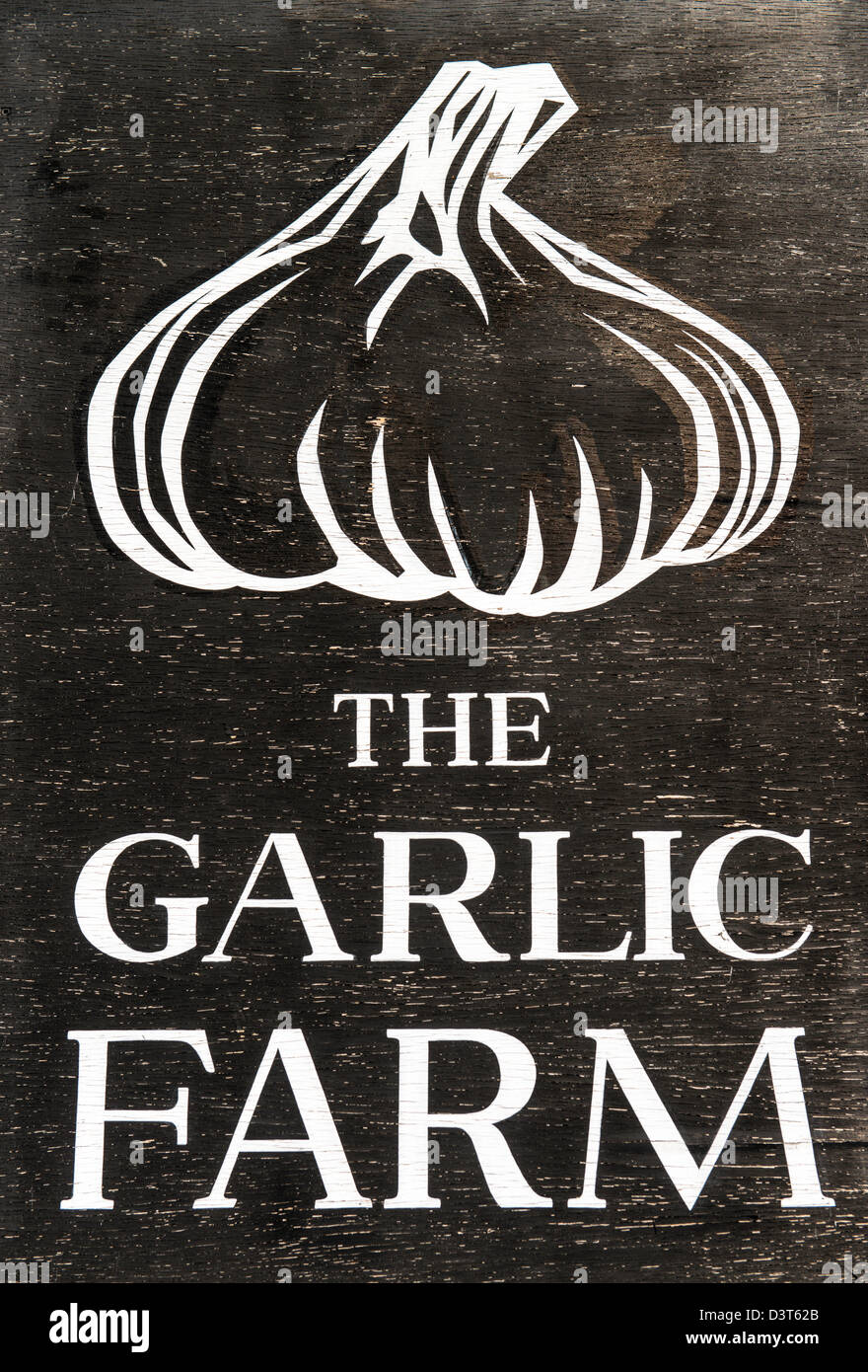 The Garlic Farm Isle of White England Great Britain UK Stock Photo - Alamy
