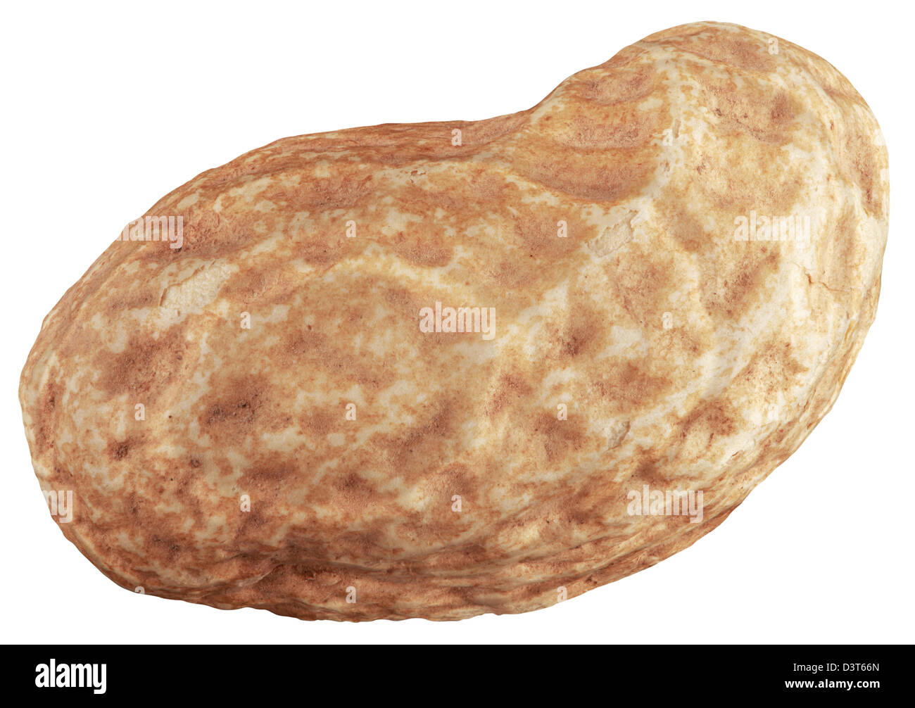 Monkey nut background hi-res stock photography and images - Alamy