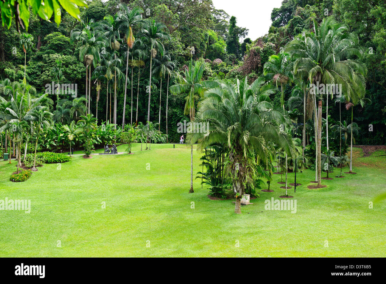 Botanical Garden Just 1 degree North of the equator has 10,000 species ...
