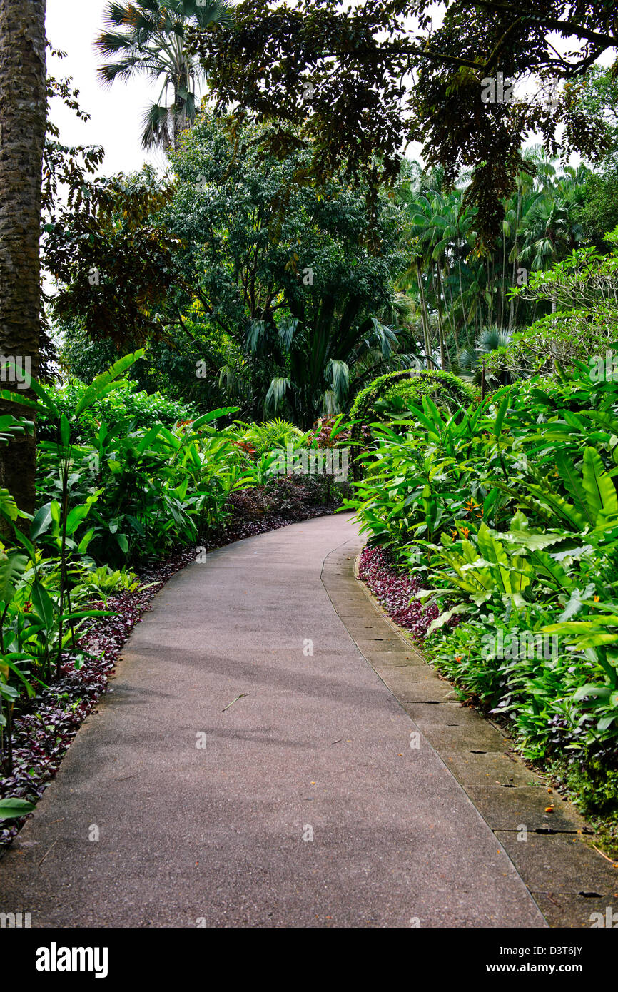 Singapore Botanical Garden1 degree Nth of the equator has 10,000 ...