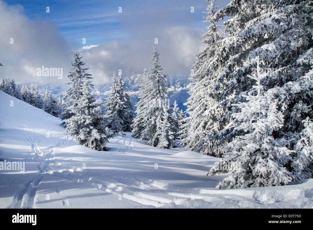 Landscapes of Massif Chartreuse Stock Photo - Alamy