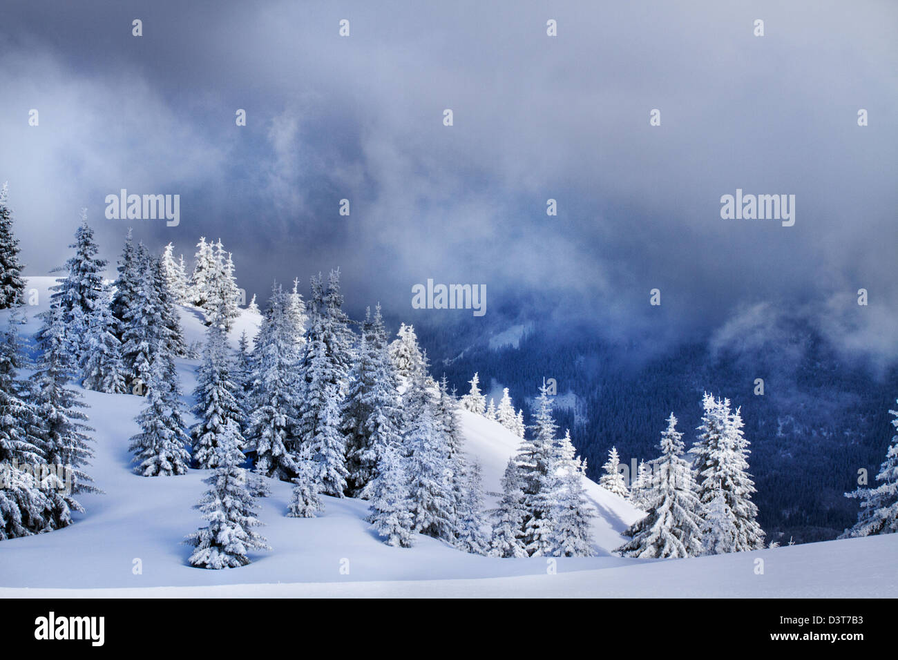 Landscapes of Massif Chartreuse Stock Photo - Alamy