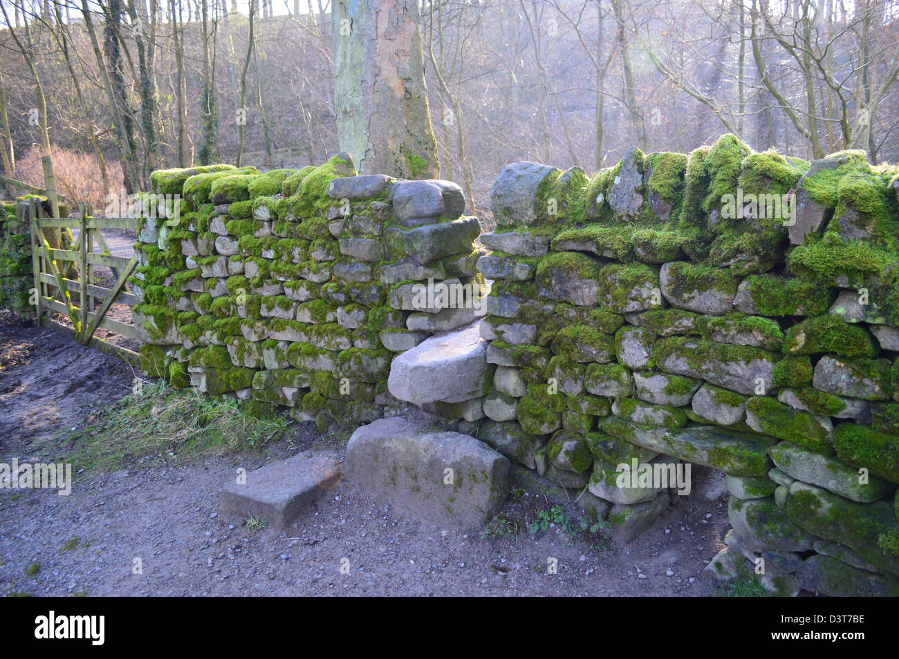 Dry Stone Wall, Stone Stile and Gate Covered in Green Moss on The Dales ...