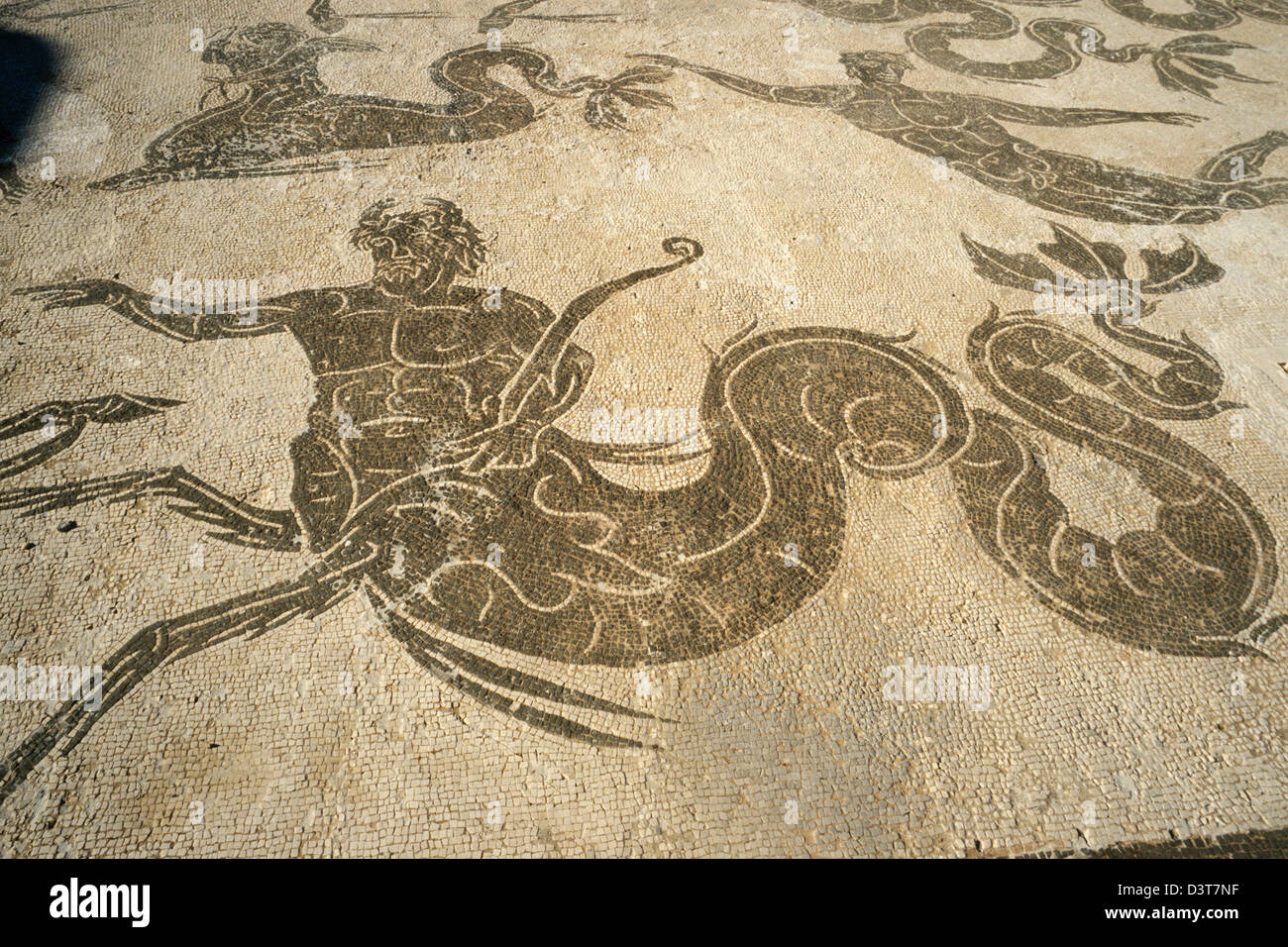 Rome, Italy. Mosaics depicting sea gods in the Temple of Neptune at the ...