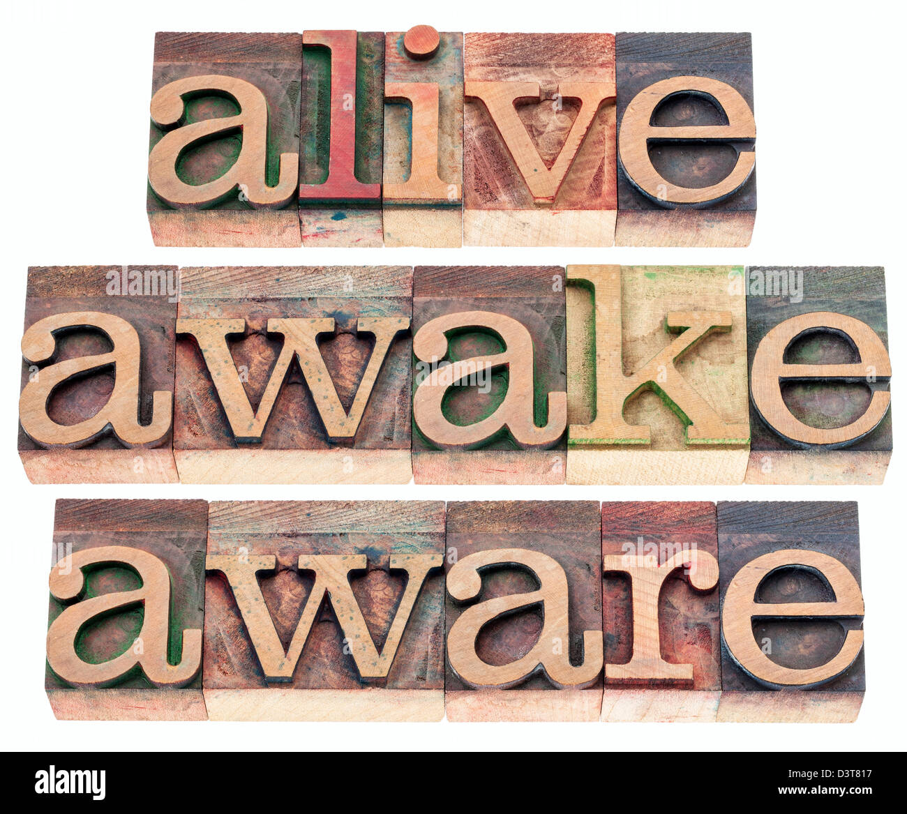 alive, awake, aware words - isolated text in vintage letterpress wood ...