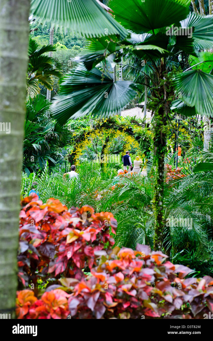 Singapore Botanical Garden1 degree Nth of the equator has 10,000 ...