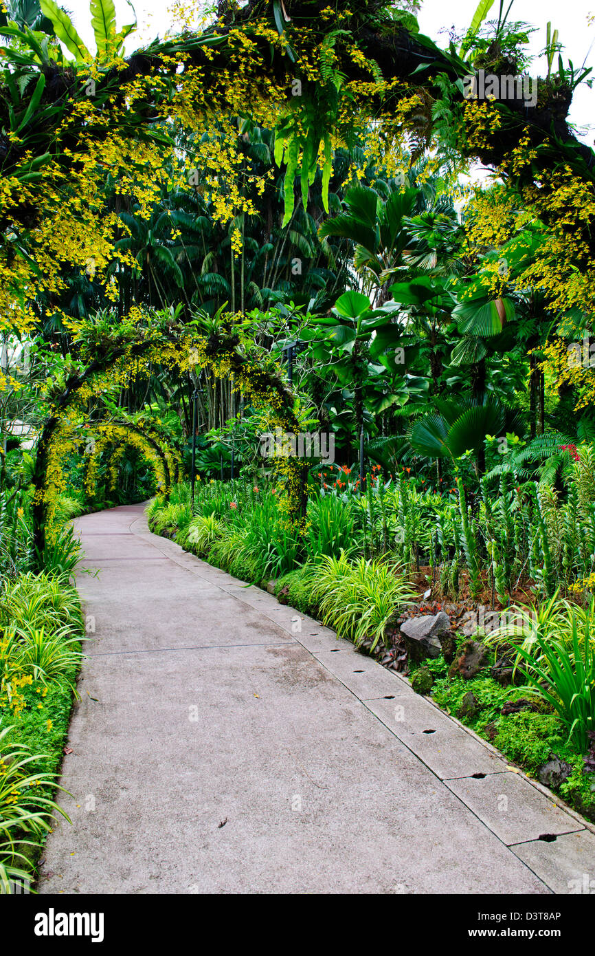 National Orchid Garden,Tan Hoon Siang Mist House,1,000 species and ...