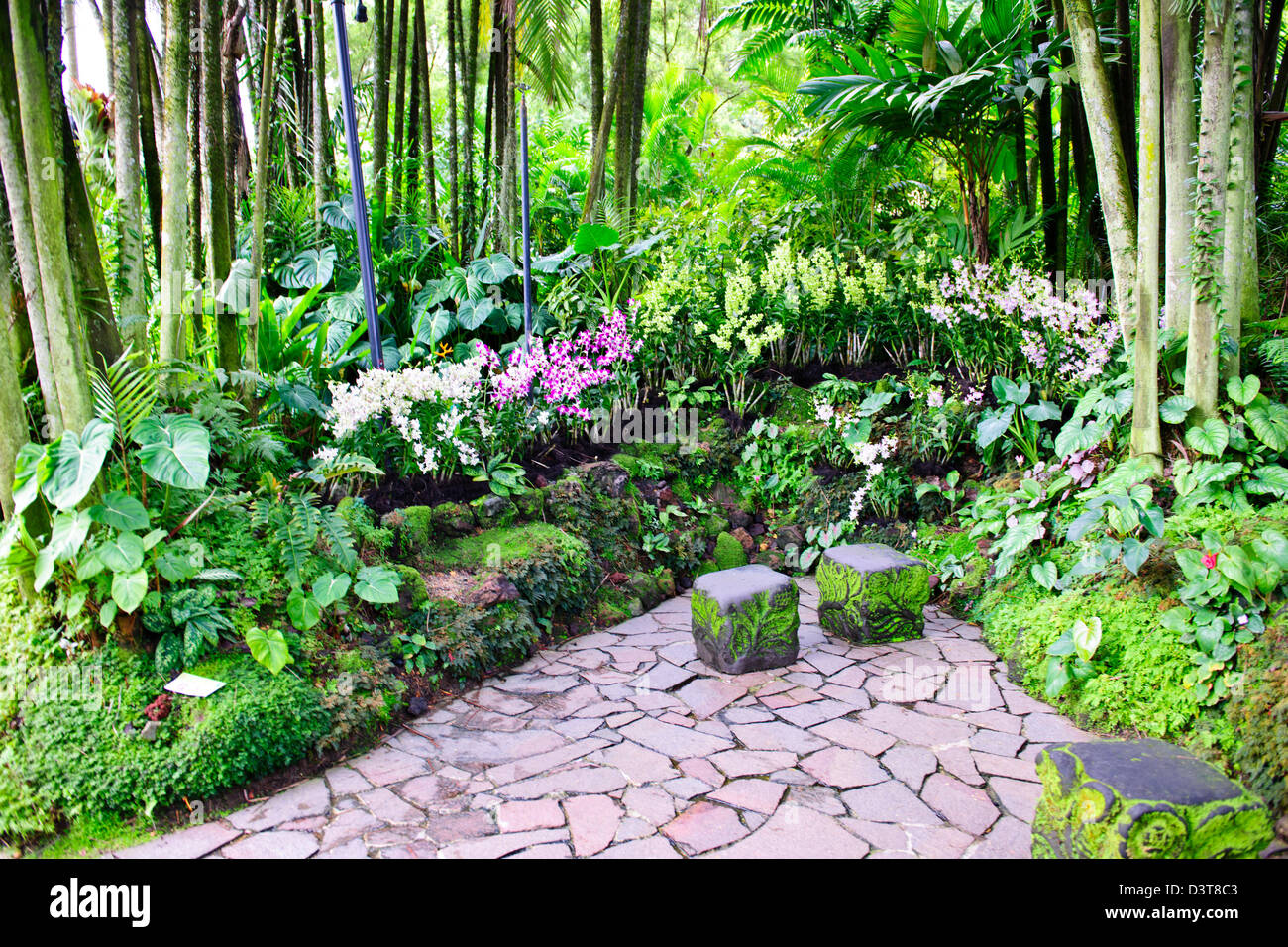 National Orchid Garden,Tan Hoon Siang Mist House,1,000 species and ...